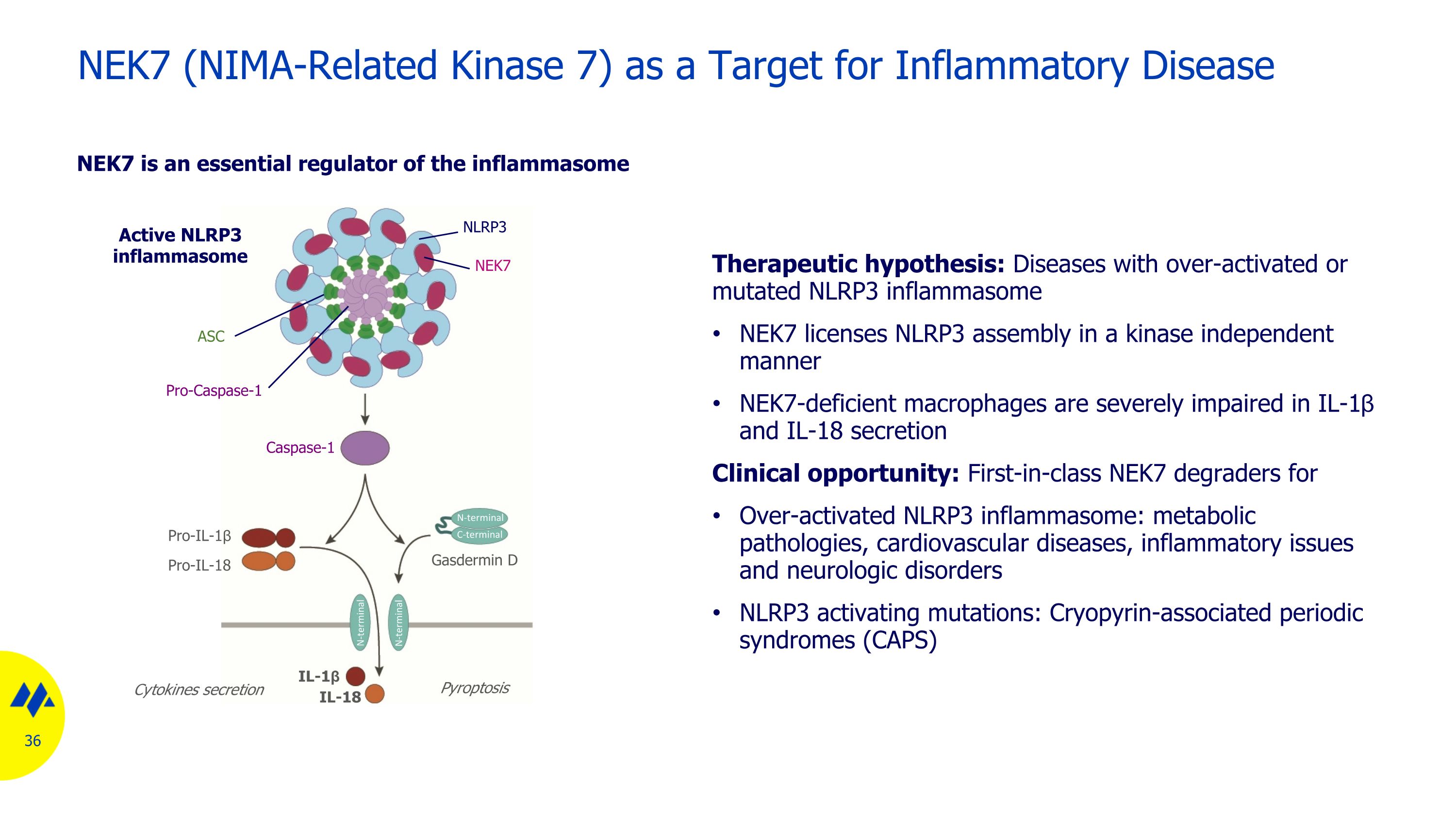 Monte Rosa Therapeutics, Inc. Form 8-K Current Report Filed 2023-01-09